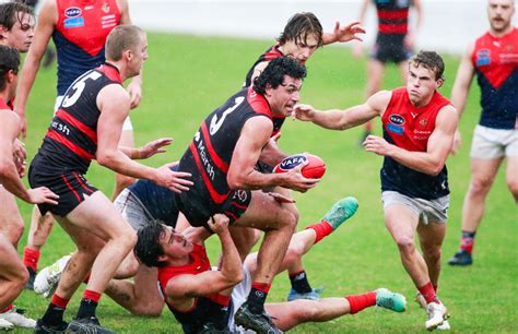Stavrou And Cowan Shine Brightest In 2025 Vafa