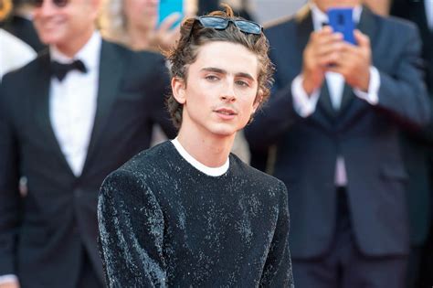 Timothée Chalamet Ci Insegna Che Ogni Umano è Queer Gayit