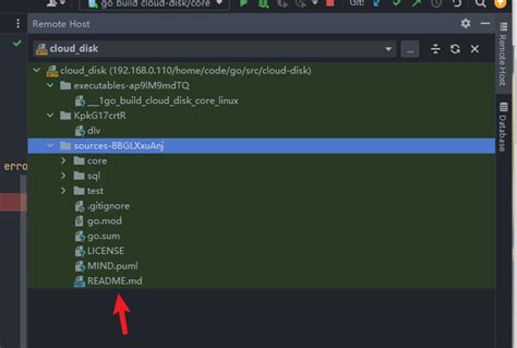 goland配置在远程linux里运行代码开发，并debug调适 haimablog 博客园