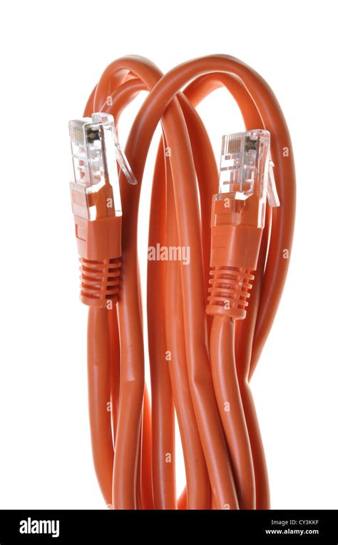 A Single Pink Internet Network Patch Cord Stock Photo Alamy