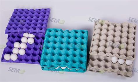 Eggs Packaging Sustainable Pulp Fiber Xact Prepack