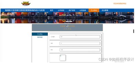 java php net python临港新片区招商引资项目管理系统的设计与实现2024年毕设 CSDN博客