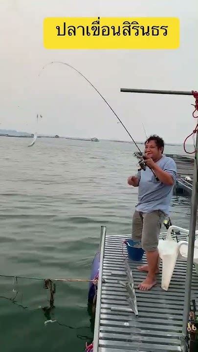 ตกปลาเขื่อนสิรินธร อุบลราชธานี Youtube