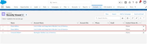 How To Duplicate A Report In Salesforce Salesforce Faqs