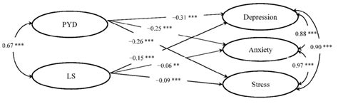Structural Equation Model Note Latent Constructs Are Shown In