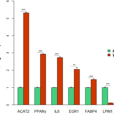 Qrt Pcr Validation Of The Differentially Expressed Genes The