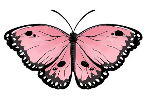 나비 아름다운 그라디언트 핑크 만화 대칭 날개 나비 분홍 대칭 PNG 일러스트 및 PSD 이미지 무료 다운로드 Pngtree