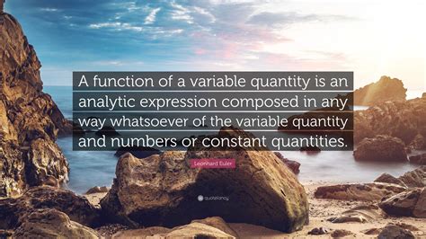 Leonhard Euler Quote “a Function Of A Variable Quantity Is An Analytic