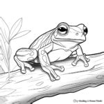 Tree Frog Coloring Pages Free Printable