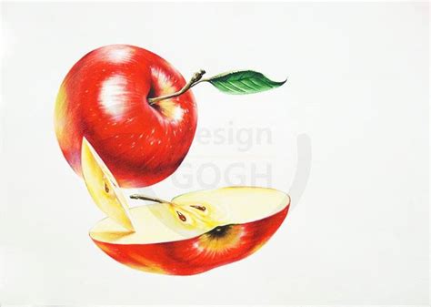 디자인고흐 미술학원 기초디자인 사고의전환 기초소양평가 를 위한 관찰력과 표현력 기르기