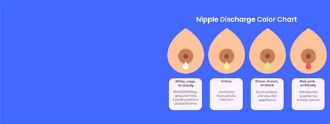 What Are Nipples For What Is A Nipple Ykogeq