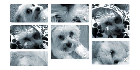 Css Flexbox Ui Patterns Bypeople