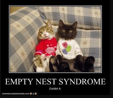 Empty Nest Syndrome Meme