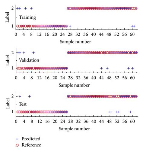 The Prediction Performance Of The Final Pls Da Model On Different