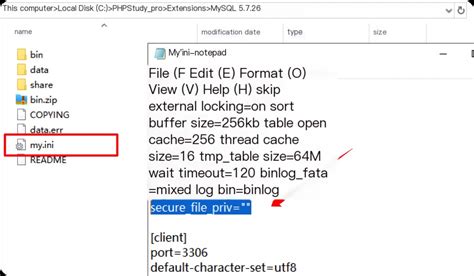 Optimizing Sql Time Based Blind Injection With Dns Log Injection