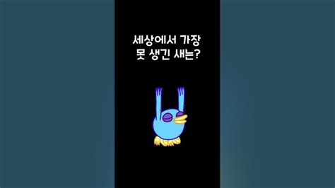 세상에서 가장 못 생긴 새는넌센스퀴즈 Youtube