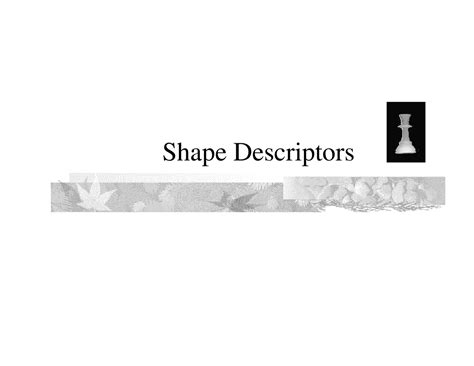 Shape Descriptors Computer Vision Systems Cap 6411 Docsity