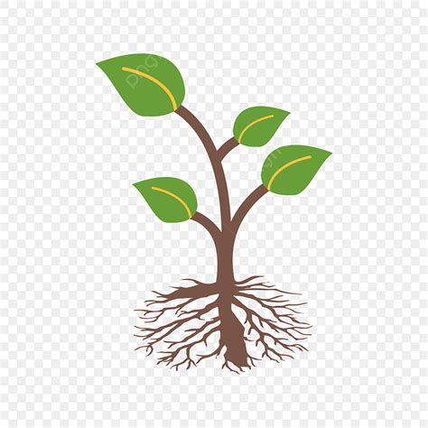 Roots Vector Art Png Vector Root Icon Root Icons Roots Root Png Image For Free Download