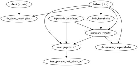 API Fmriprep Version Documentation
