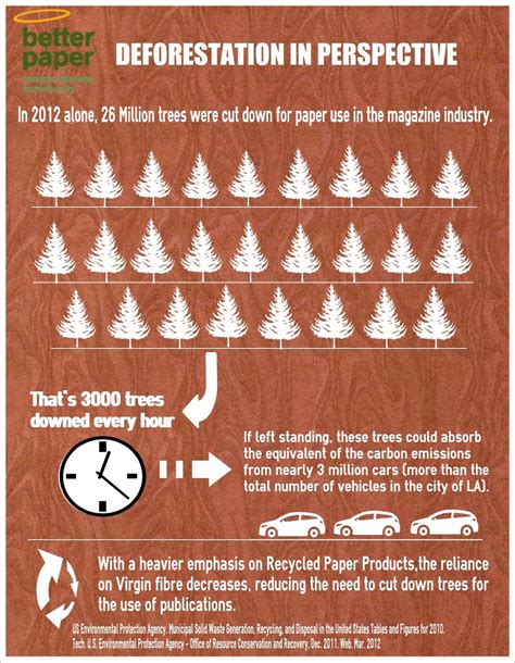 How Many Trees Are Cut Down Each Year In The Us Caterina Hamlin