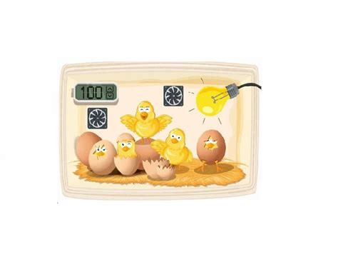 XH M452 Temperature And Humidity Controller Module XH M452 Incubator Combo 17 At Best Price In