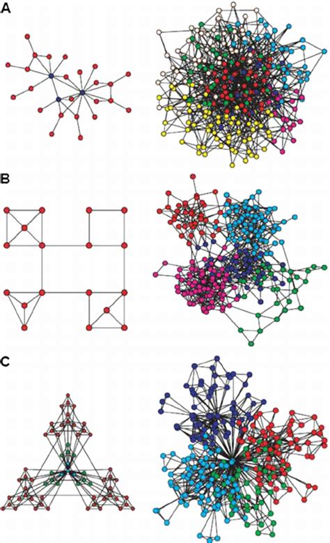 Archetypal Centralized Modular And Hierarchical Networks Download