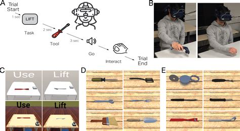 Action Affordance Affects Proximal And Distal Goal Oriented Planning
