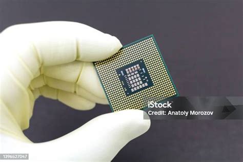 Cpu 컴퓨터 프로세서 마이크로 칩을 들고 꽉 노란 장갑을 끼고 손을 잡으십시오 Cpu에 대한 스톡 사진 및 기타 이미지 Cpu 과학 기술자 Istock