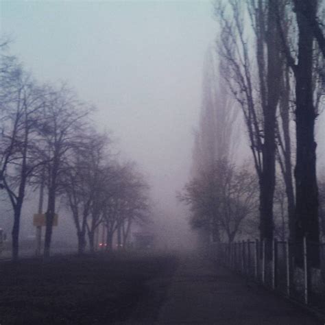 Війна завдала довкіллю Києва та області збитків на понад 47 мільярдів гривень — Київ