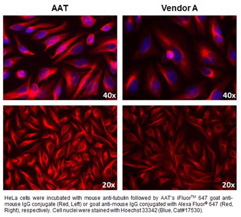 Custom Labeling Service Lubioscience
