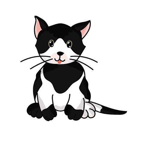 Meow Meow Kitten Youtube