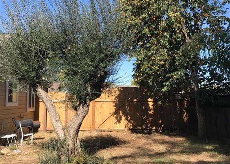 50 Monte Vista Way Gilroy Ca 95020 Redfin