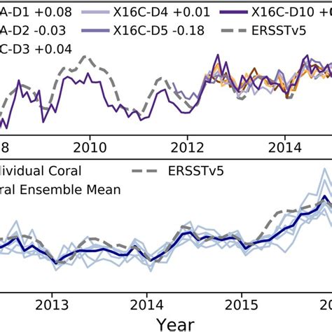 In Situ Sea Surface Temperature Sst Salinity And Seawater Sw δ¹⁸o Download Scientific