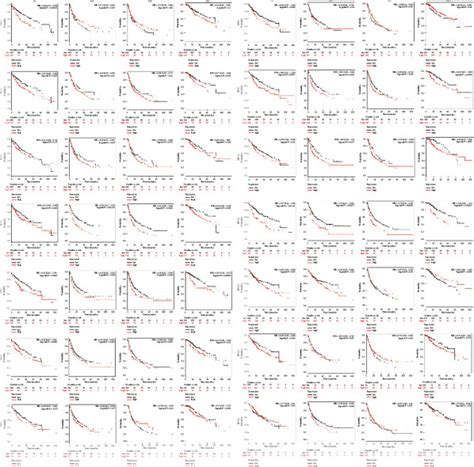 Rpns Levels Are Prognostic And Diagnostic Markers For Hepatocellular
