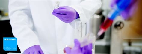 Células Madre Qué Tipos Hay