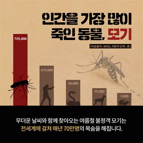 소통이야기 모기매개 감염병 위험한 모기녀석들 전쟁이다 국경 없는 세계의 파괴자 인간을