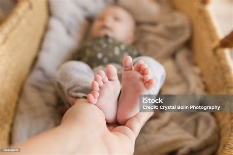 12 발가락 폴리 액티리와 신생아 아기 소년 배경에 아늑한 크림 면 담요에 누워 발톱에 대한 스톡 사진 및 기타 이미지 발톱 아기 12 Istock