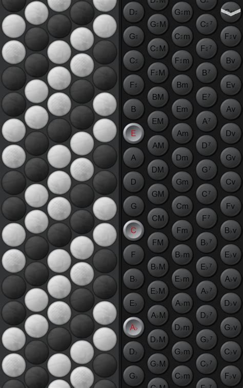 Button Accordion Apk For Android Download
