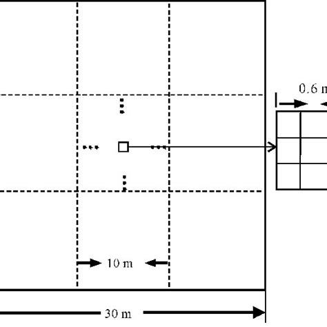 Design Of The Sampling Plots Each Sampling Plot Was M M And Download Scientific
