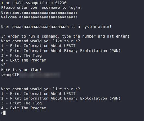 Swampctf 2024 Liam Geyer