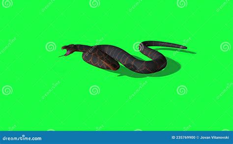 3d Illustration Of Python Online Course Advertisement Python Language