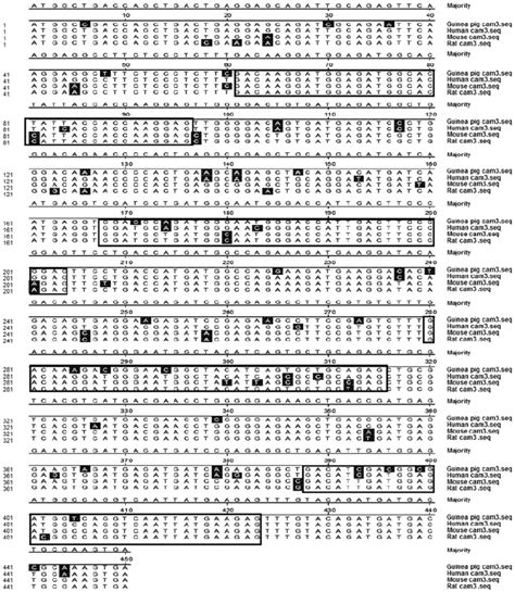 Sequence Alignment Of The Cam Coding Regions From Different Species Download Scientific