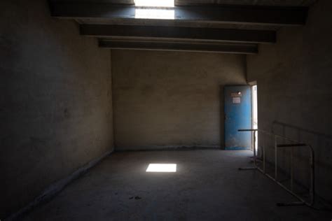 Nida Mehboob Assignments And Commissions