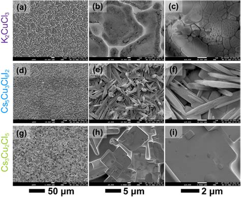 Scanning Electron Micrographs At Three Different Magnifications Of The Download Scientific