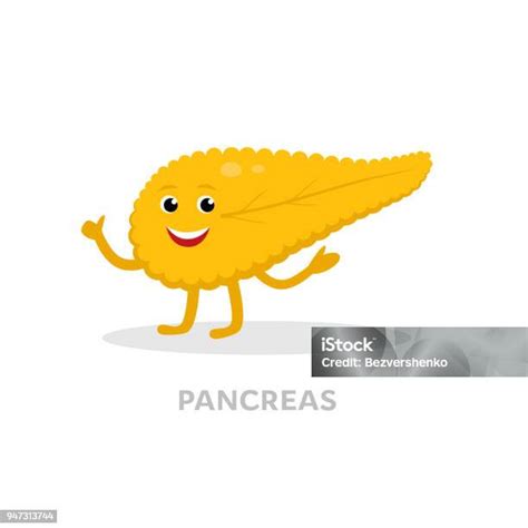 흰색 배경에 고립 된 강한 건강 한 췌 만화 캐릭터 행복 한 마음 아이콘 벡터 평면 디자인입니다 건강 한 장기 개념의 의료 그림입니다 당뇨병에 대한 스톡 벡터 아트 및 기타