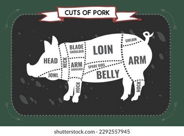 Basic Cuts Pork Editable Clip Art Stock Vector Royalty Free