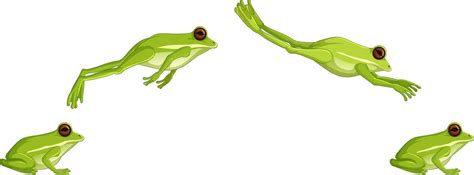 Frog Vector Art Icons And Graphics For Free Download