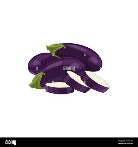 Fresh Vegetable Eggplant Isolated Vector In White Background Stock Vector Image And Art Alamy