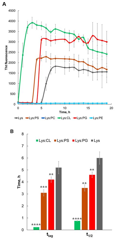 Elucidating The Role Of Lipids In The Aggregation Of Amyloidogenic