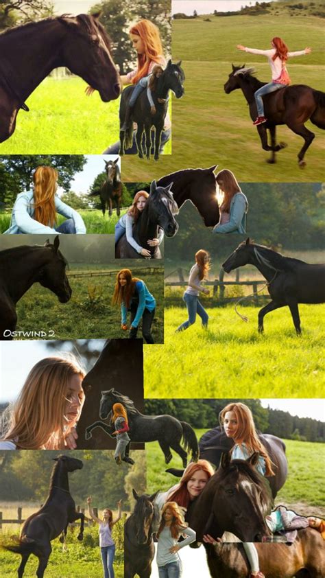 Ostwind Moodboard In 2024 Funny Horses Horse Pictures Horse Aesthetic